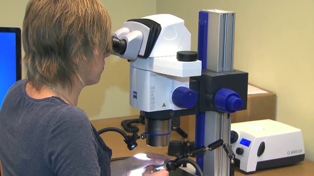 #Archéo2014 Métiers de l'archéologie : Veerle Rots, tracéologue on Vimeo