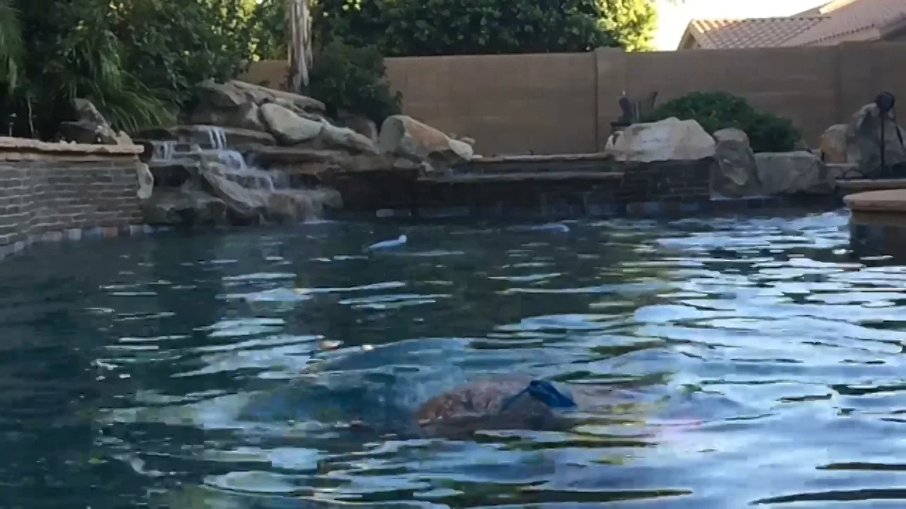 Behind the scenes of my swimming pool photo shoot on Vimeo