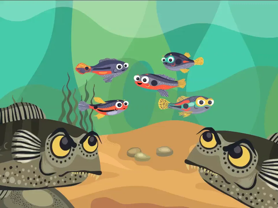 Evolution in Action: Guppies