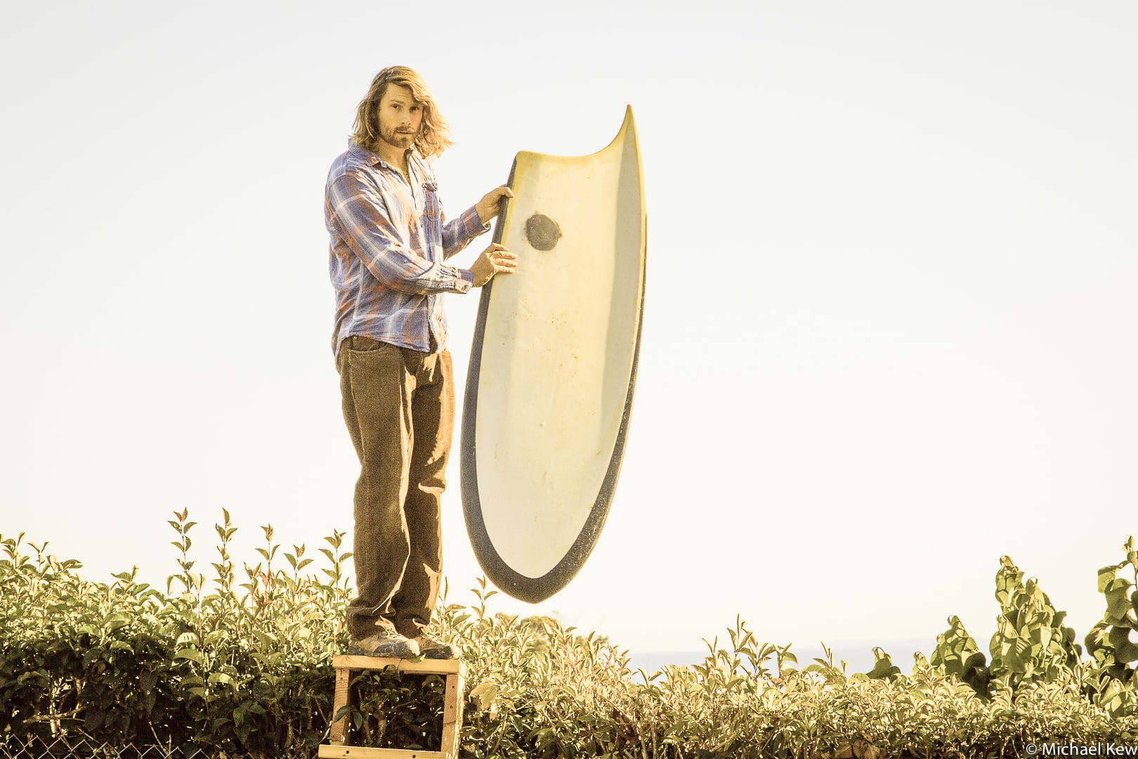 Teatime With Rabbits on Vimeo