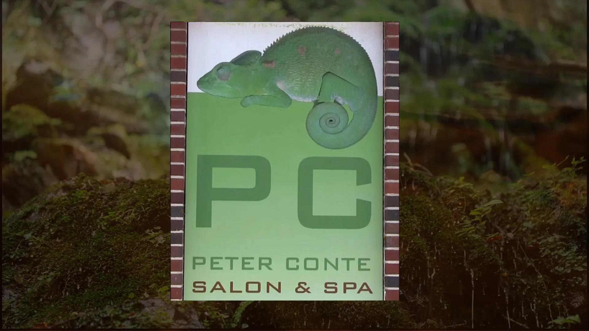 Business: Peter Conte Salon & Spa on Vimeo