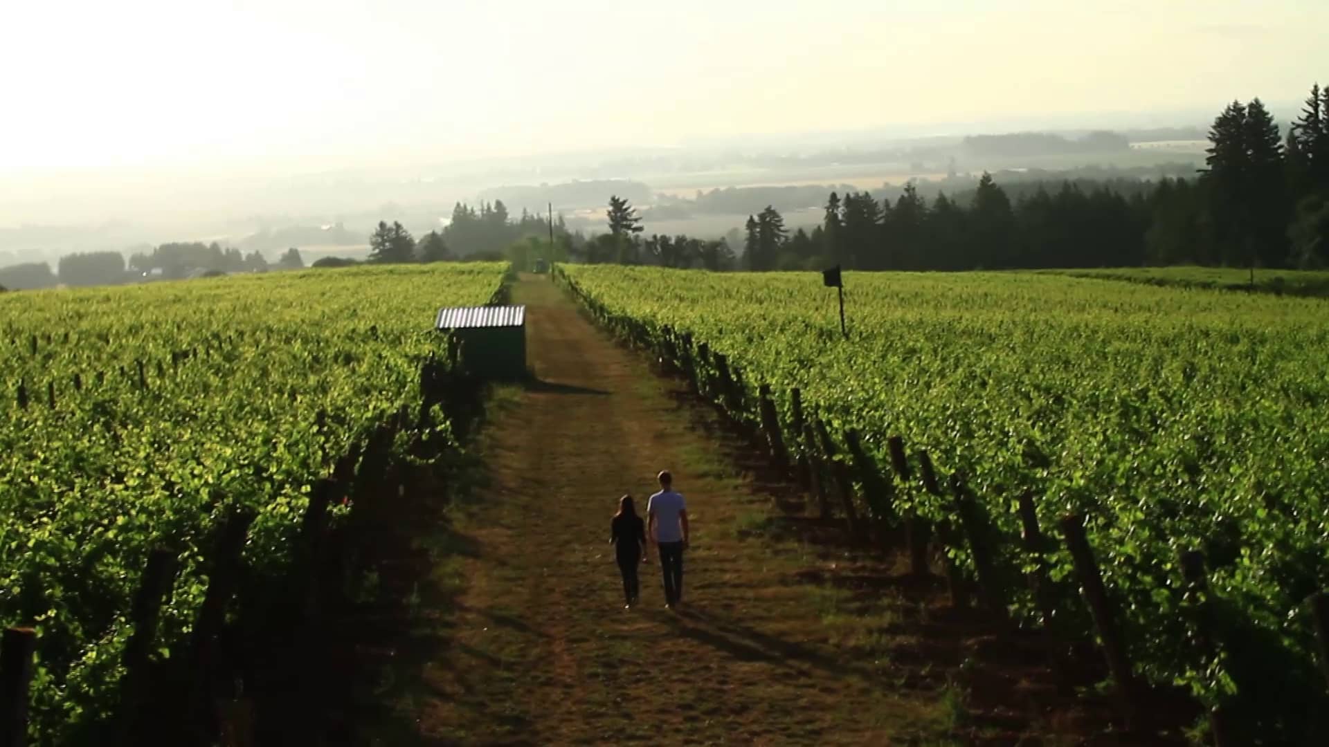 American Wine Story on Vimeo