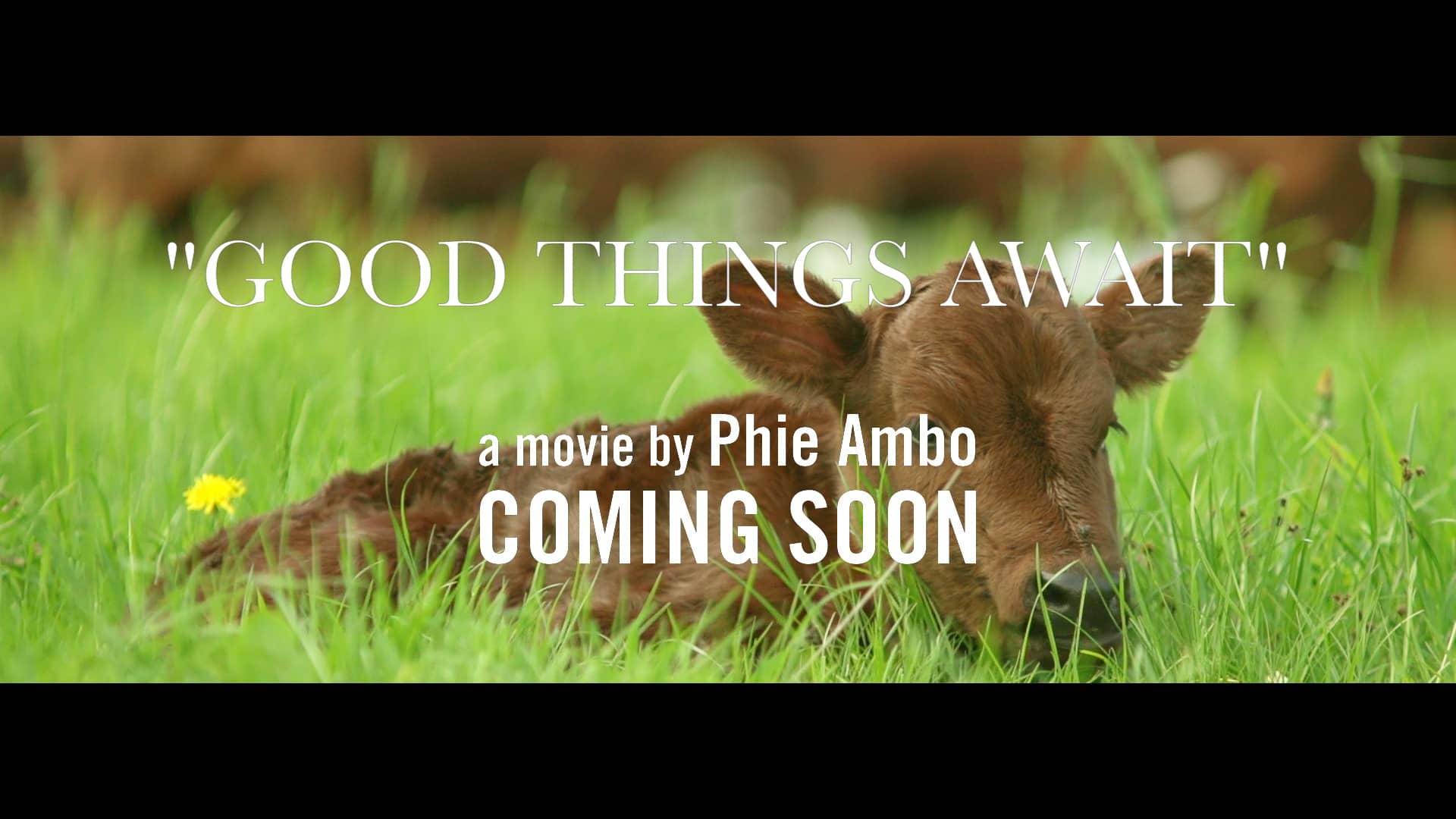 Good Things Await - Teaser - Recitative 3 on Vimeo