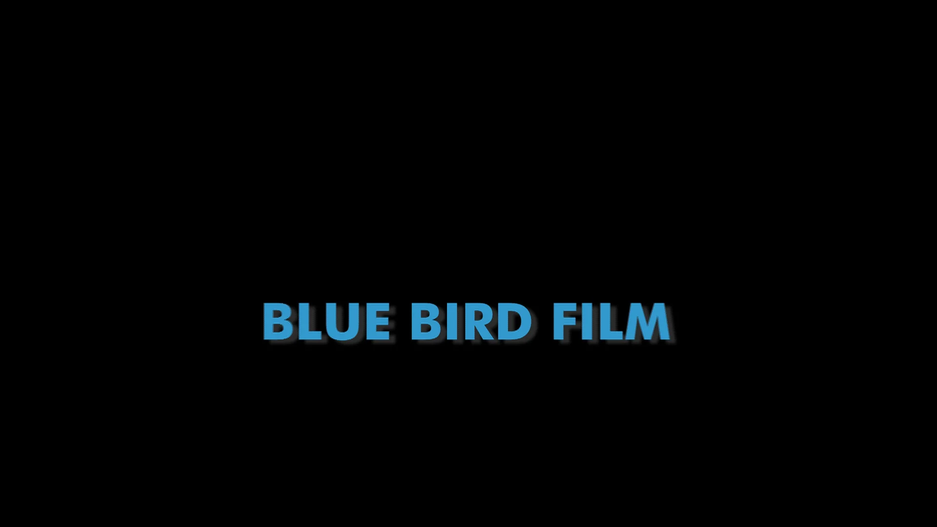 BLUE BIRD FILM - logo movie on Vimeo