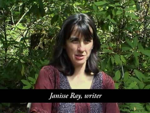 Re-Story-ation New Metaphors of Restoration. Short film by Michael J ...