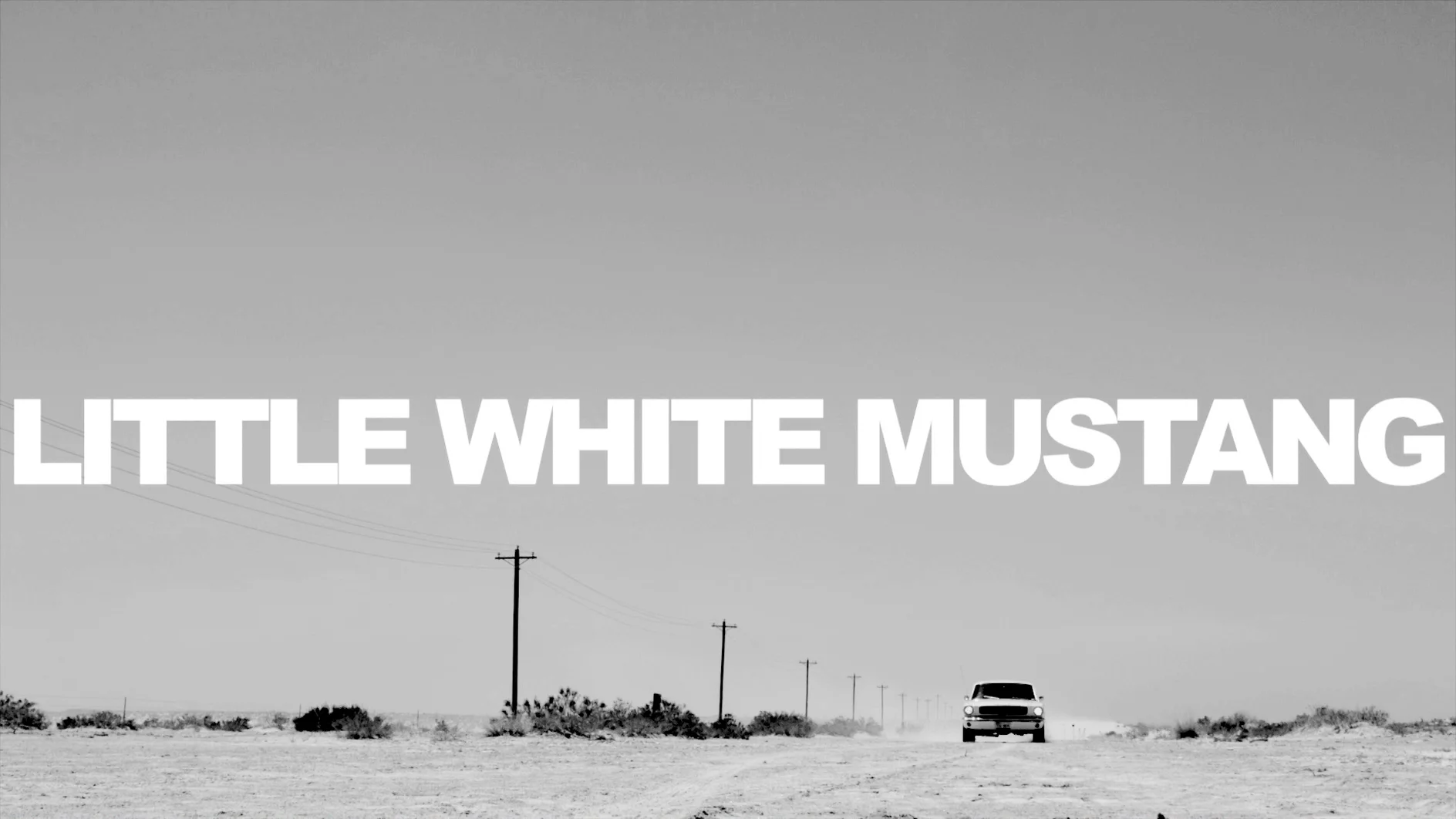 Little White Mustang - Jake Mathews on Vimeo