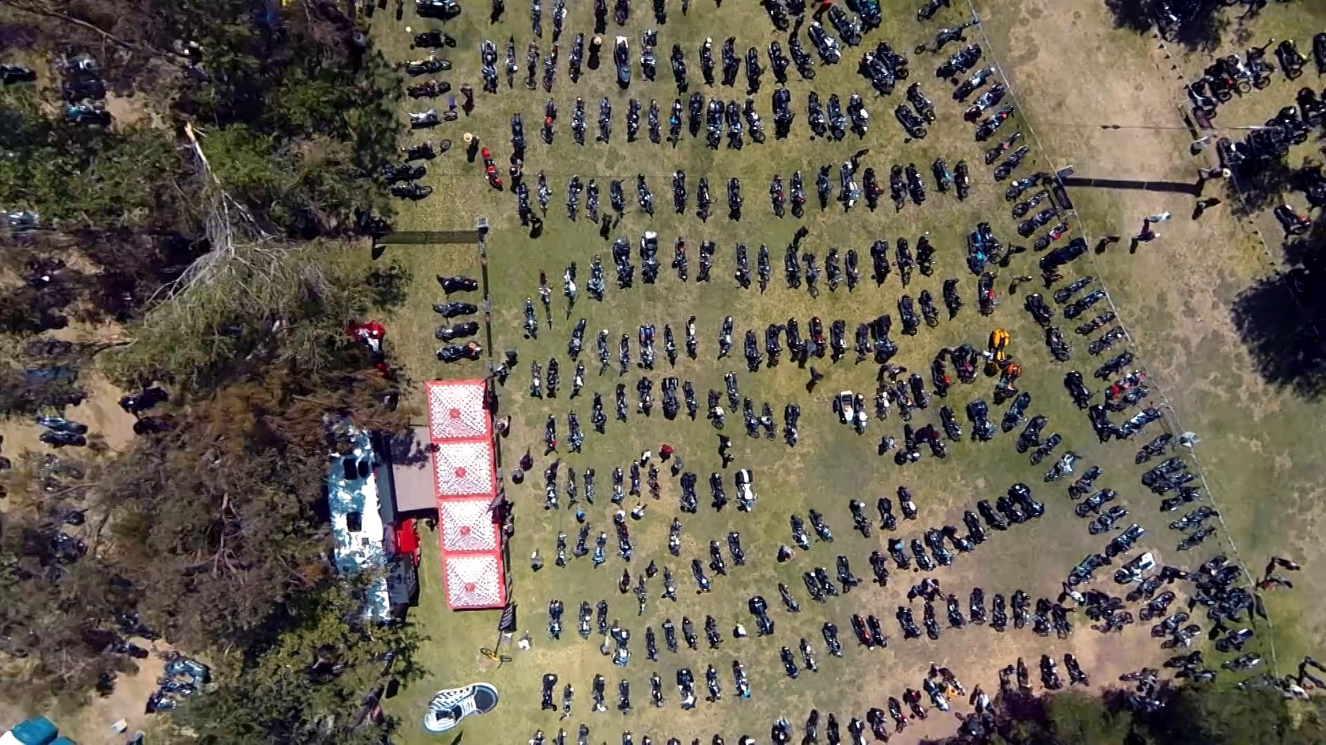 Meditation 4 Madmen - Born Free 6 Show. on Vimeo