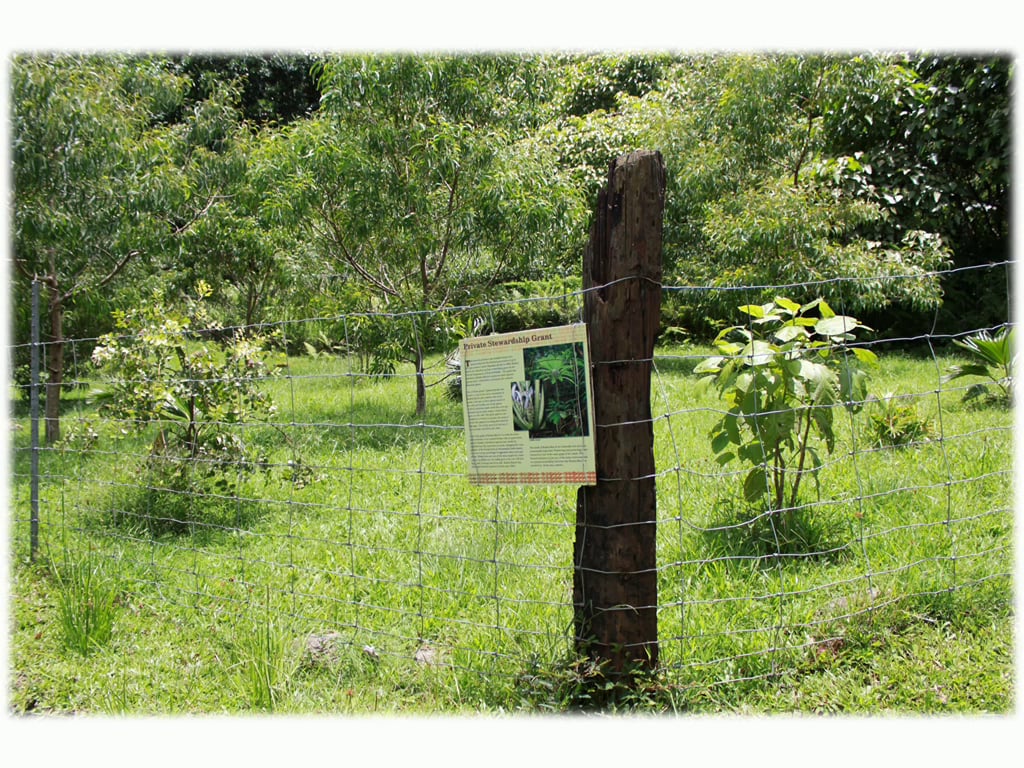 Bringing Agriculture and Conservation Initiatives: David Morgan, Kualoa ...