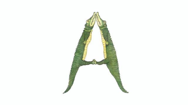 Animal Alphabet on Vimeo