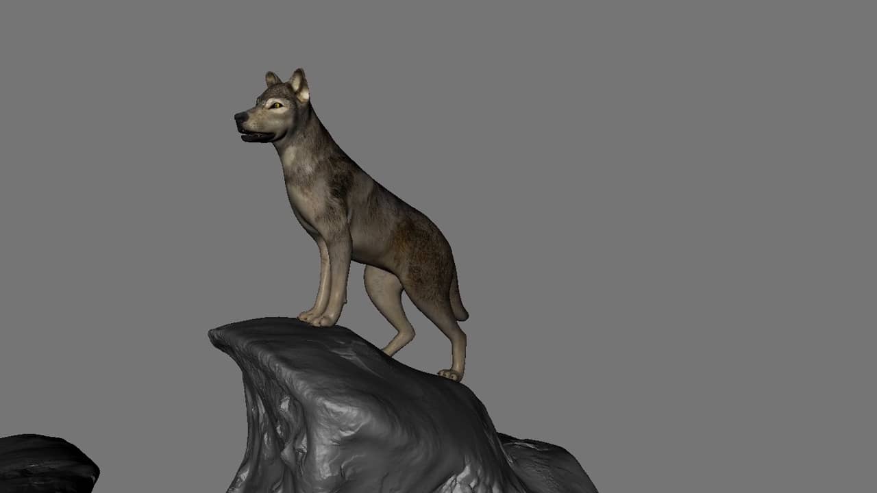 Wolf Animation Exercise on Vimeo