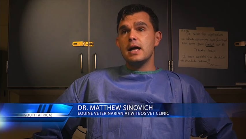 NeedleView Equine Standing Stifle Wetlab: Dr. Matthew Sinovich on Vimeo