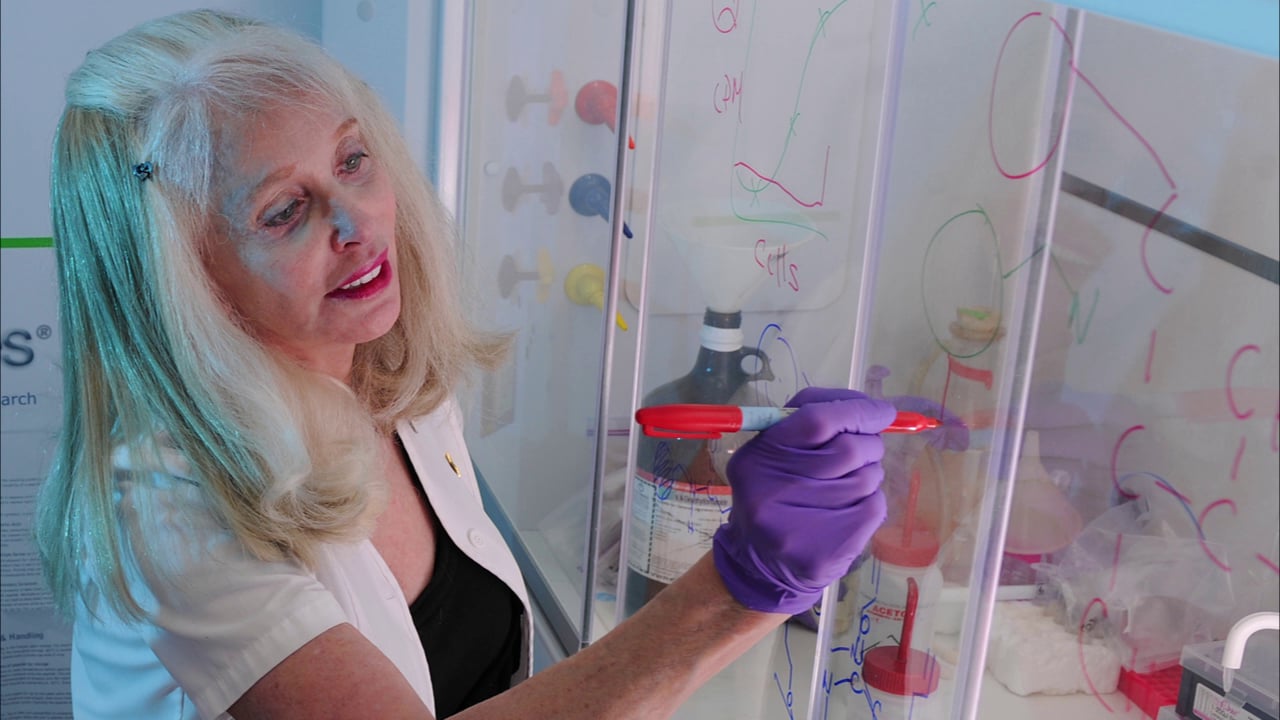 Ellen S. Vitetta, M.D., Ph.D. (AAI '74, president 1993–1994) on Vimeo