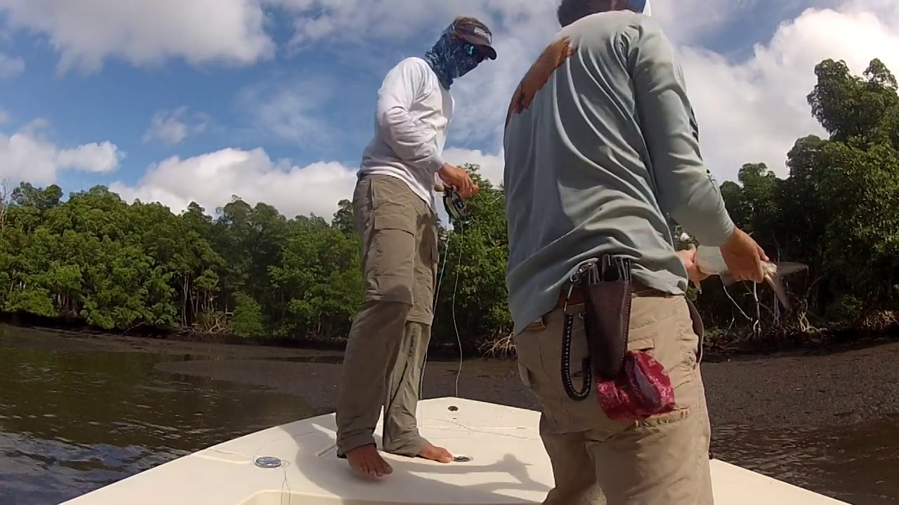Fly Fishing the Everglades | Videos & Movies on Vimeo