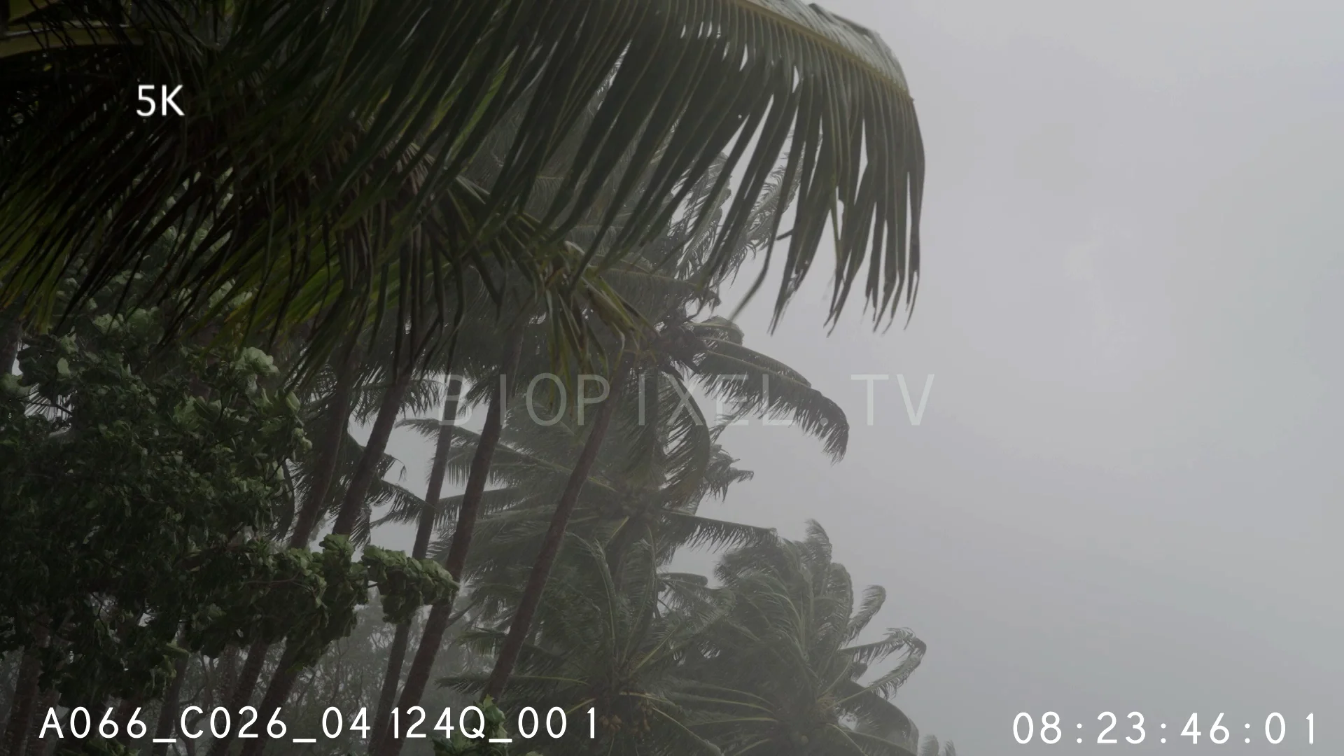 Climate Change - Cyclone North Queensland 4K on Vimeo