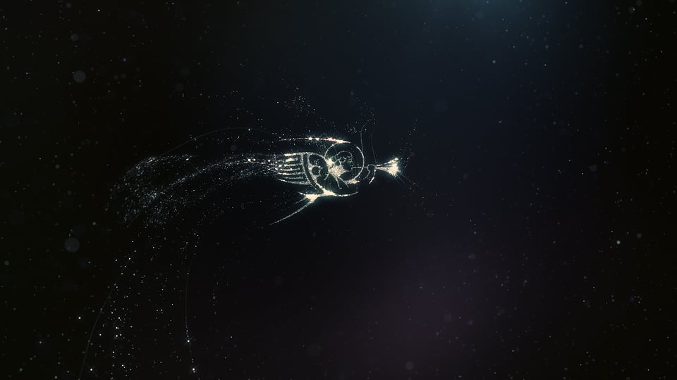 VEM film production company ident on Vimeo