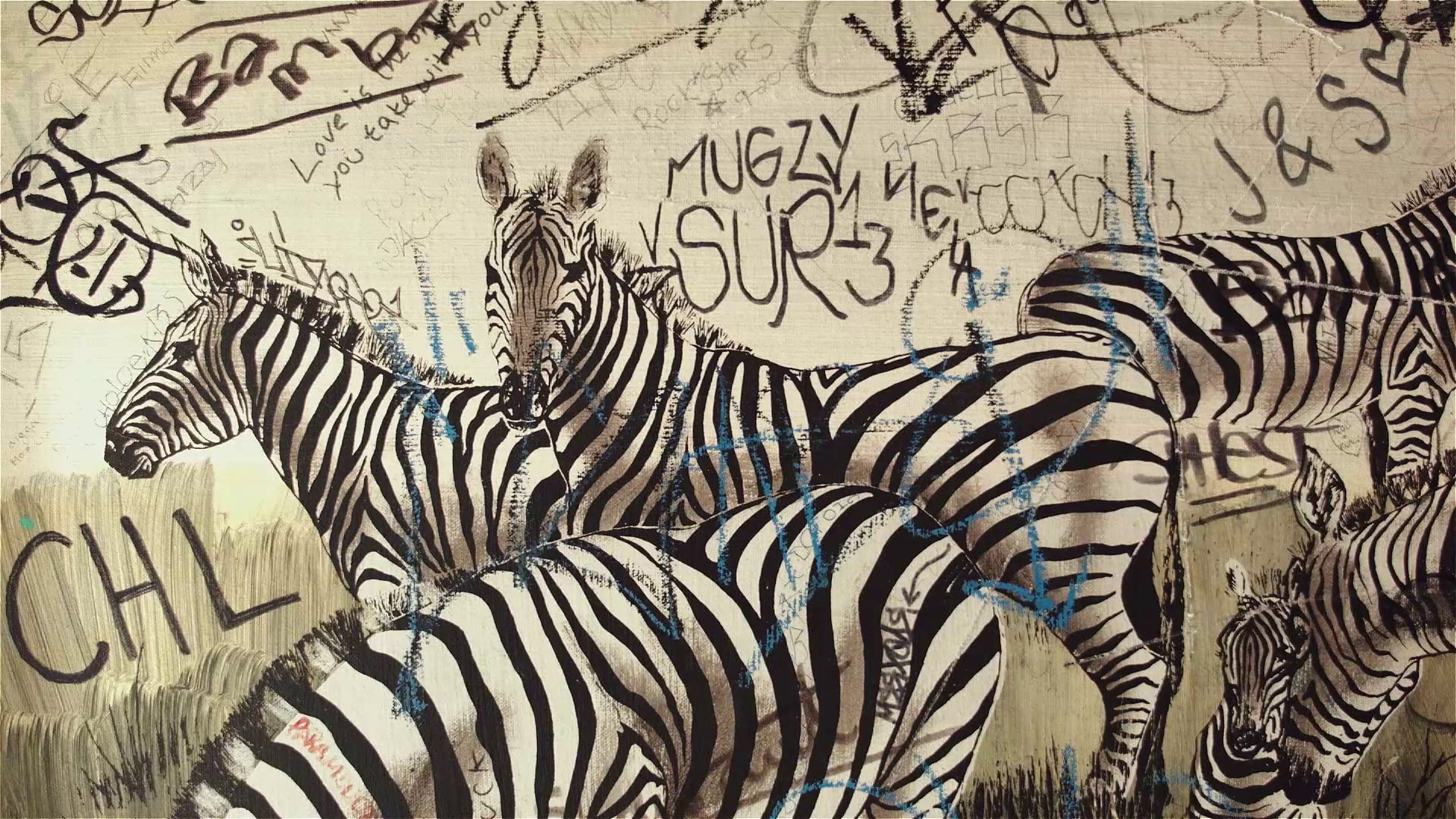 Stuff : Zebra Gang Painting on Vimeo