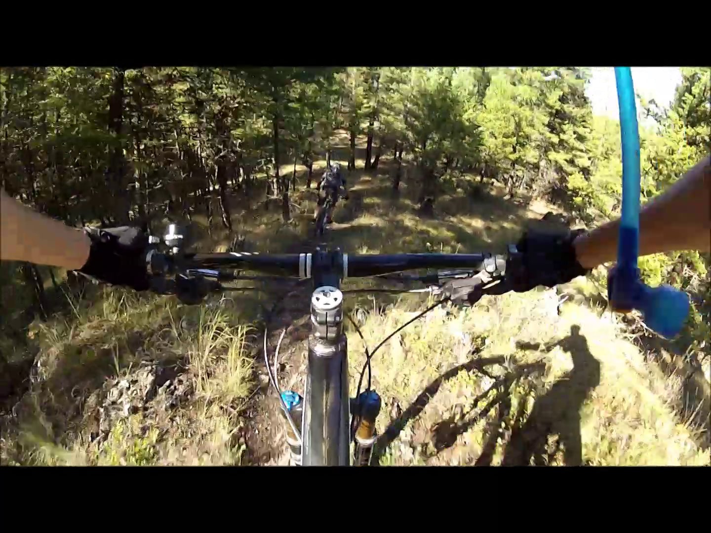 Chewbacca Rocca - Stacy Falk on Vimeo