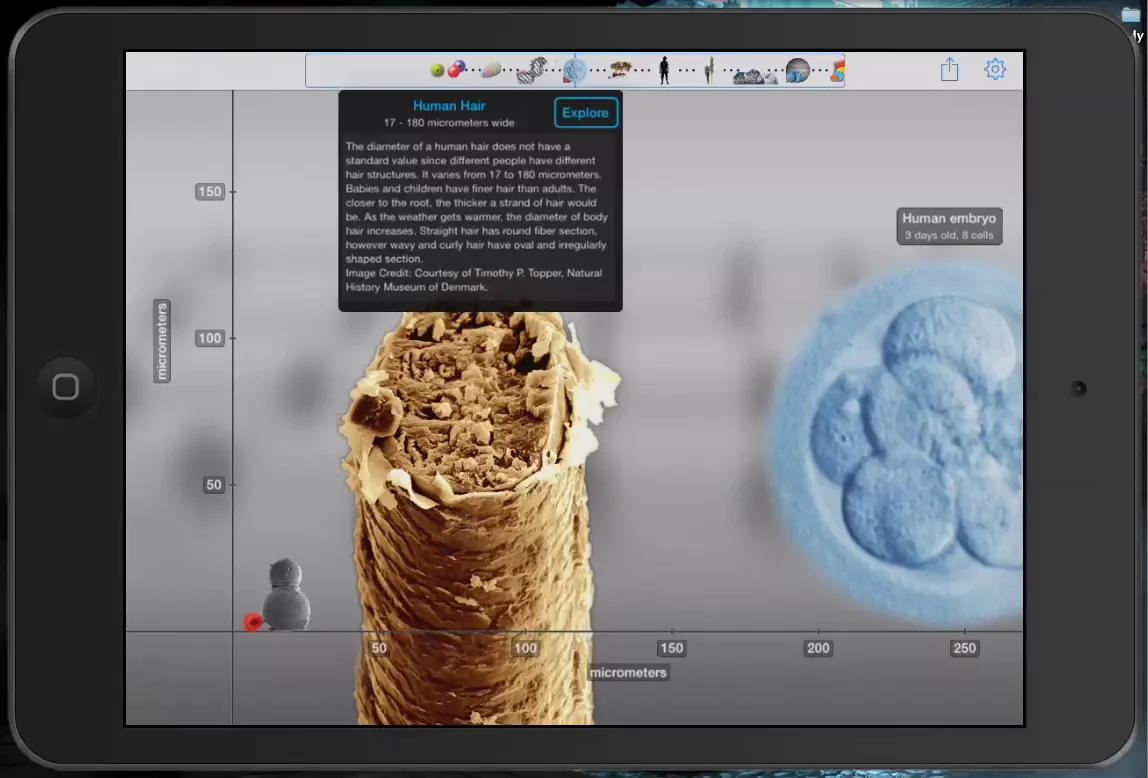46 of 100 - Universal Zoom App on Vimeo