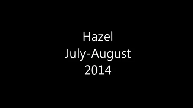 Hazel July Aug 2014 Video- blog on Vimeo