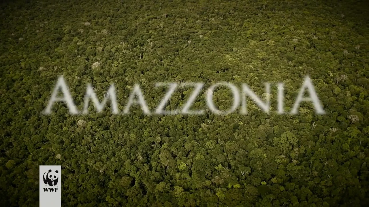 WWF Amazon Campaign 2014 on Vimeo