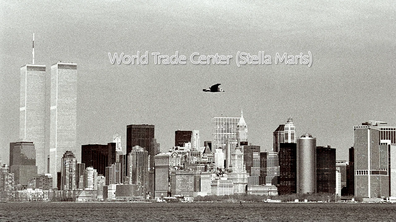 World Trade Center on Vimeo
