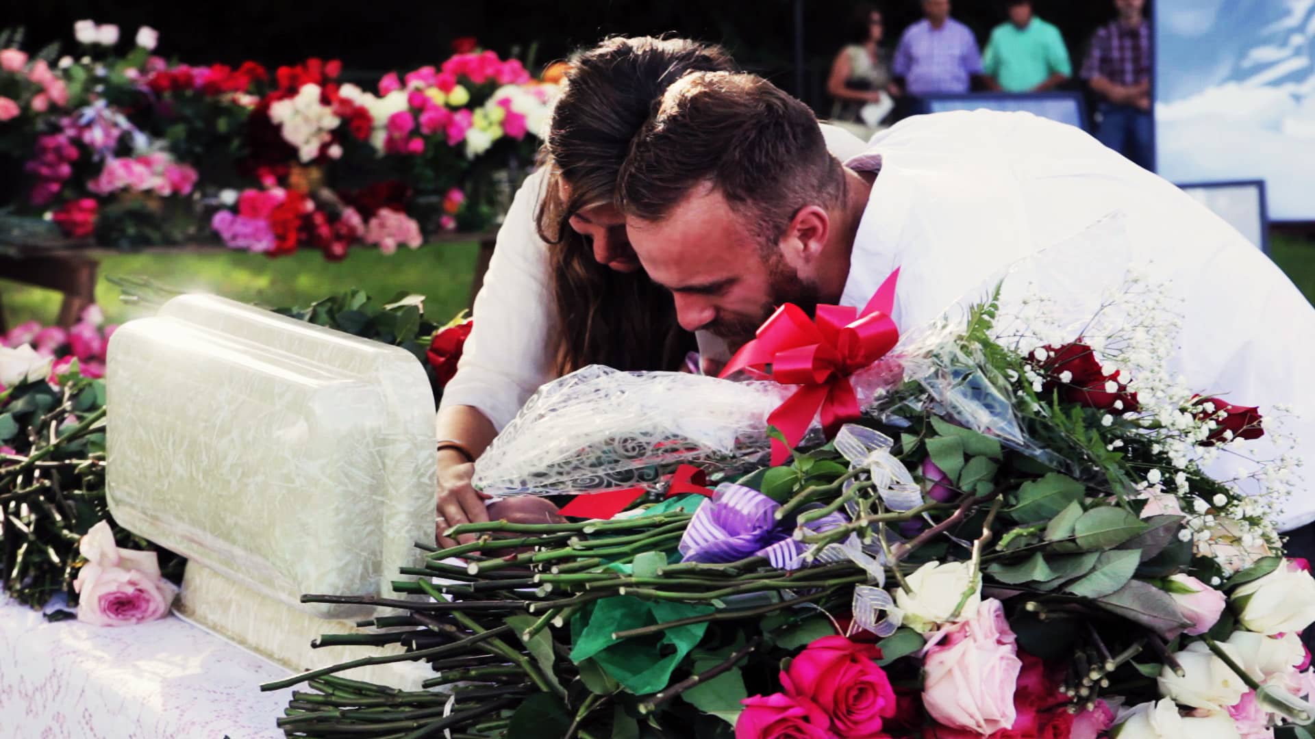 For Willa Rose on Vimeo