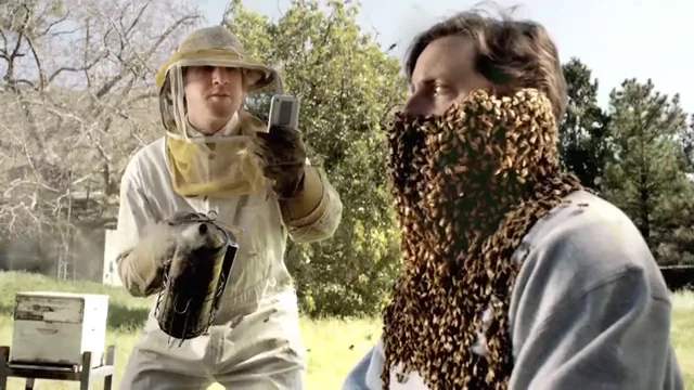 Bojangles' Bees on Vimeo