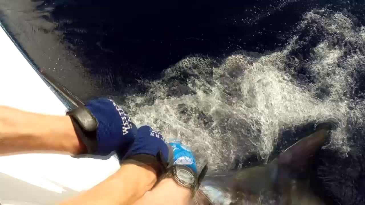 Sigsbee Deep at Hoover September 2014 on Vimeo