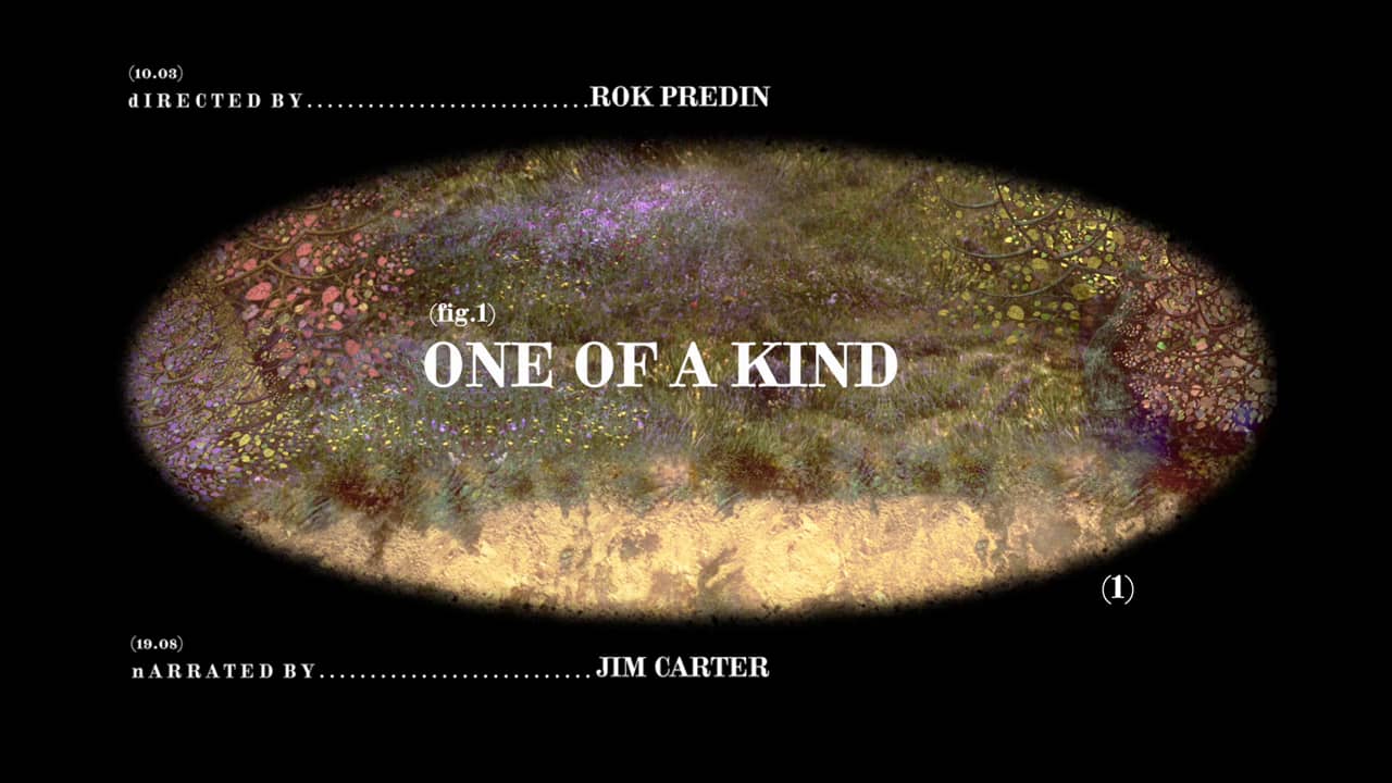 One Of A Kind | Trailer on Vimeo