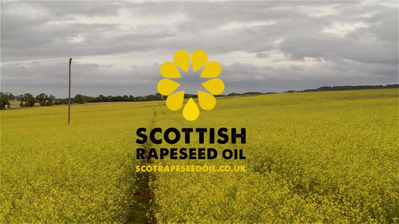 Scottish Rapeseed Oil on Vimeo