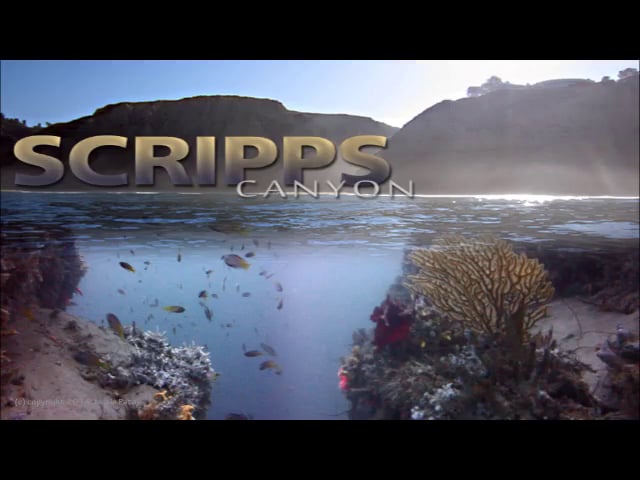 Scripps Canyon Dive on Vimeo