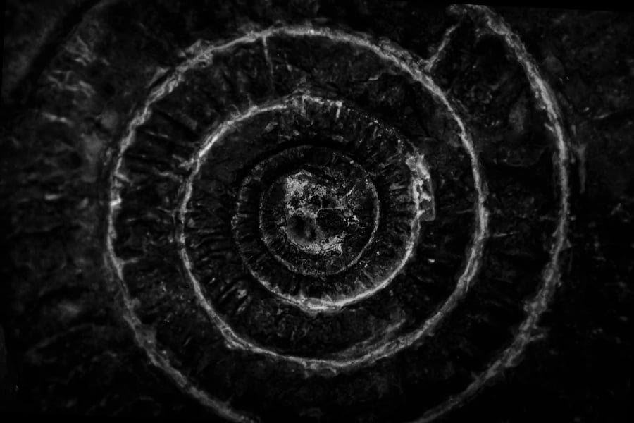 Sophie Knittel « Demos Oneiroi » on Vimeo