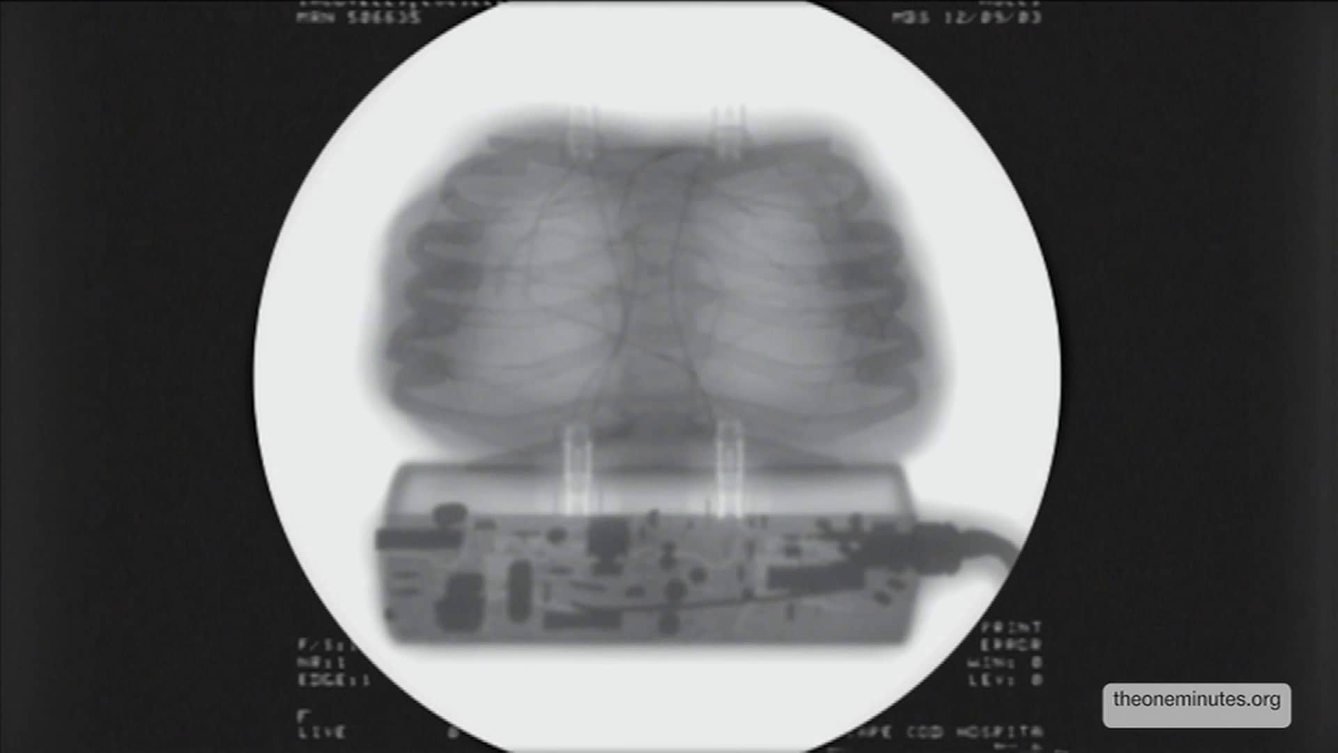 Floris Kaayk, The Modular Body, 2014 on Vimeo