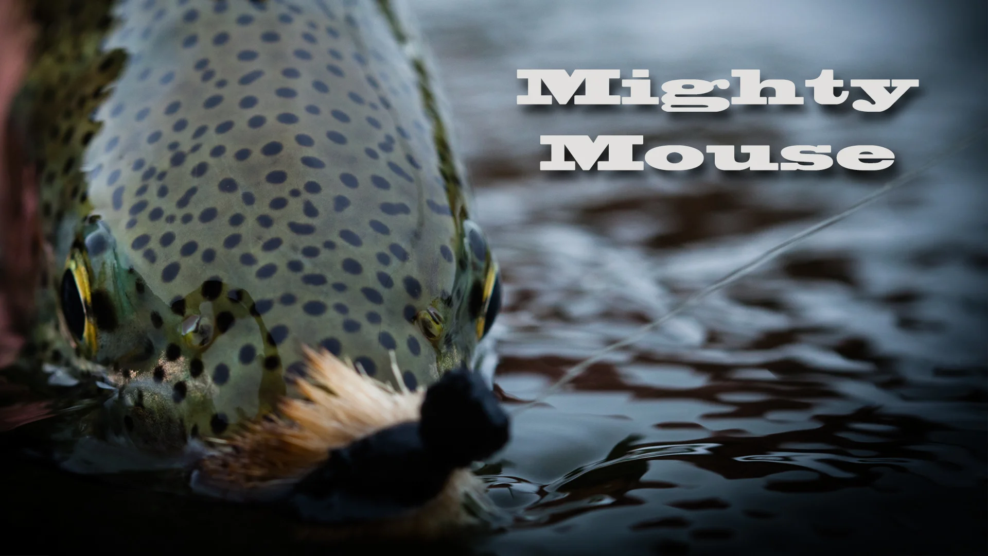 Mighty Mouse - Alaska Mouse Fishing