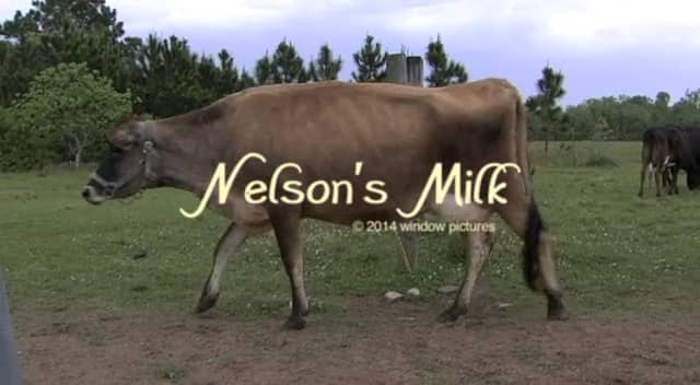 Nelson's Milk on Vimeo