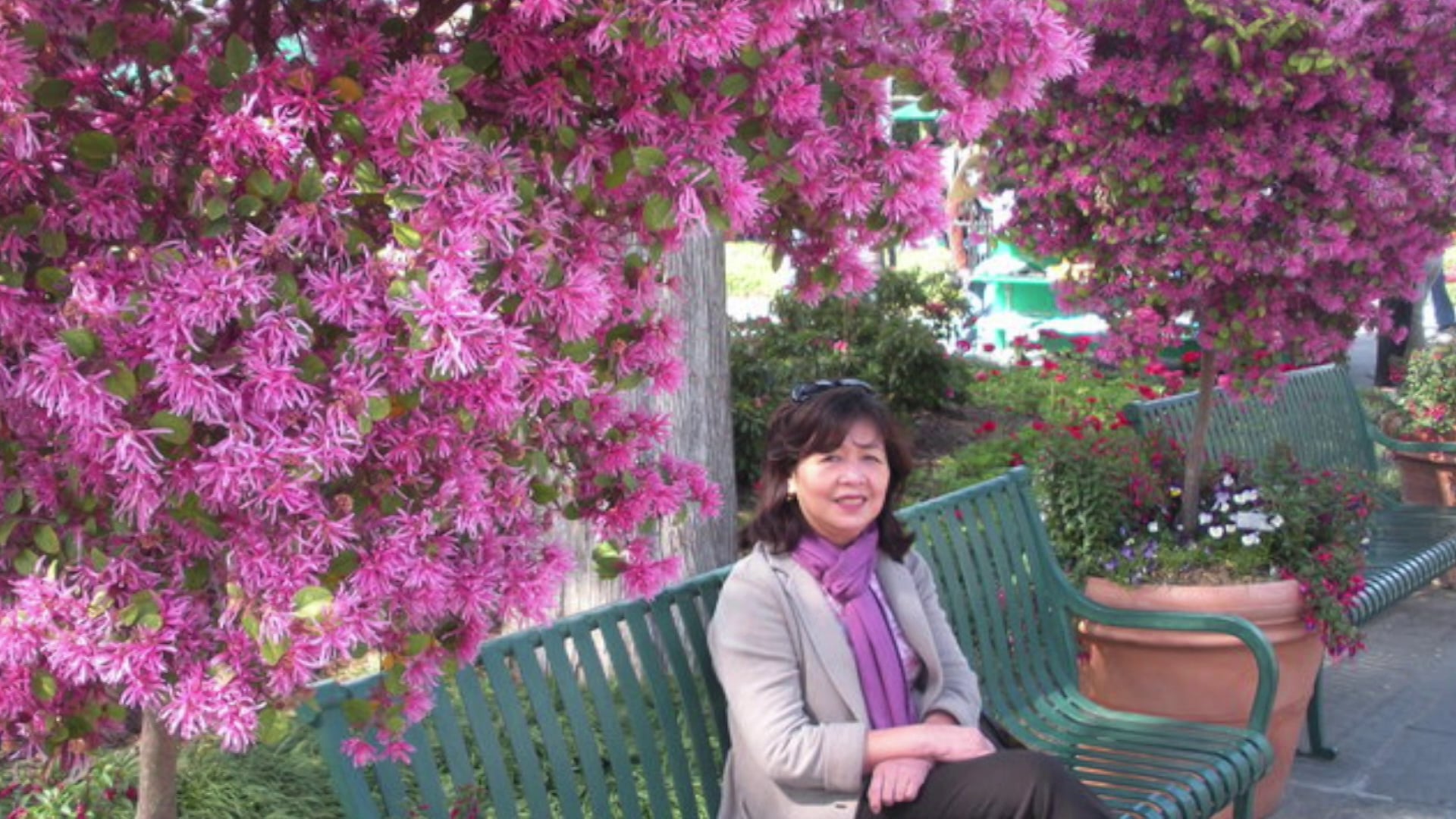 LSA SMC Ruby Celebration Revised Edition on Vimeo