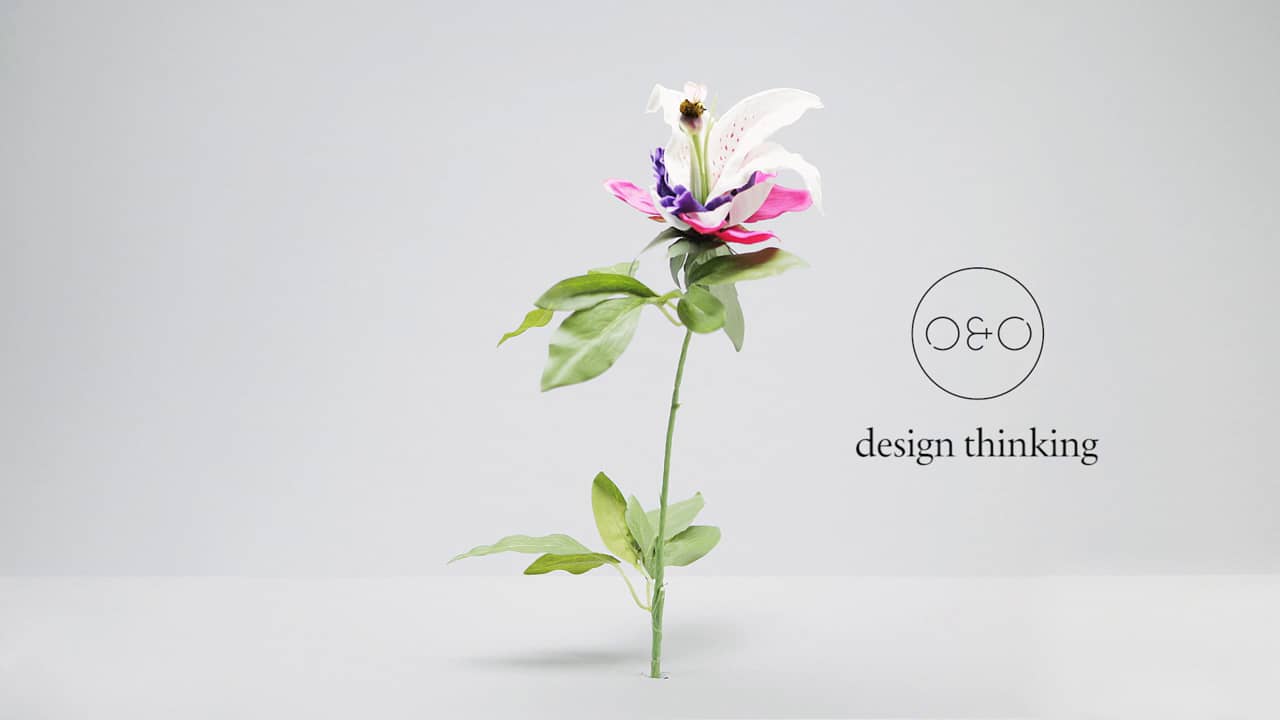 Flower on Vimeo