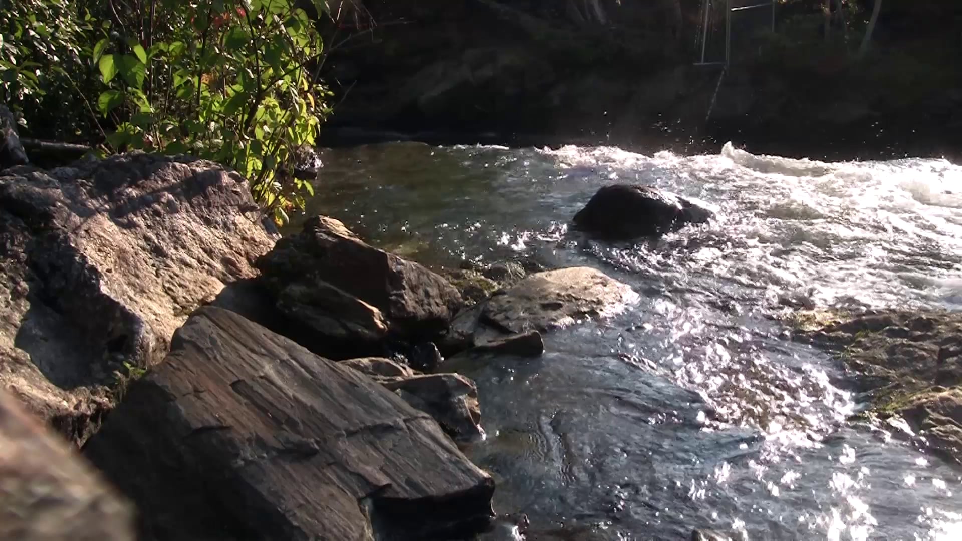 September 2014 SRC-TV PSA on Vimeo