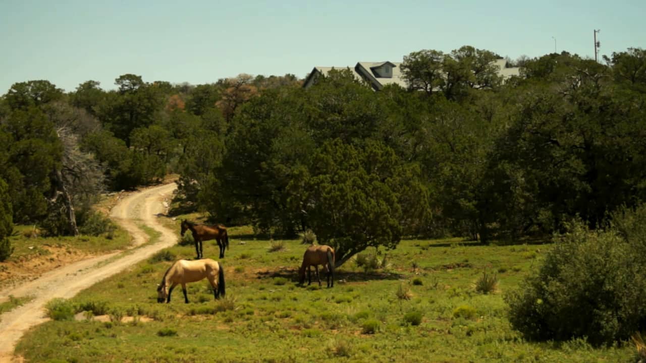 Shiraz Ranch lots for sale or entire ranch. on Vimeo