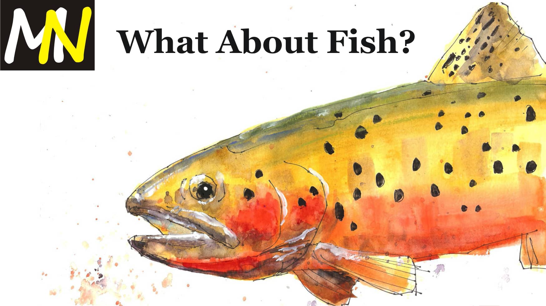 What About Fish? on Vimeo