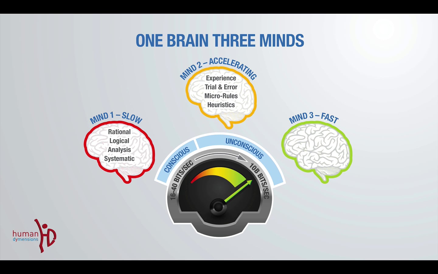 One Brain Three Minds on Vimeo