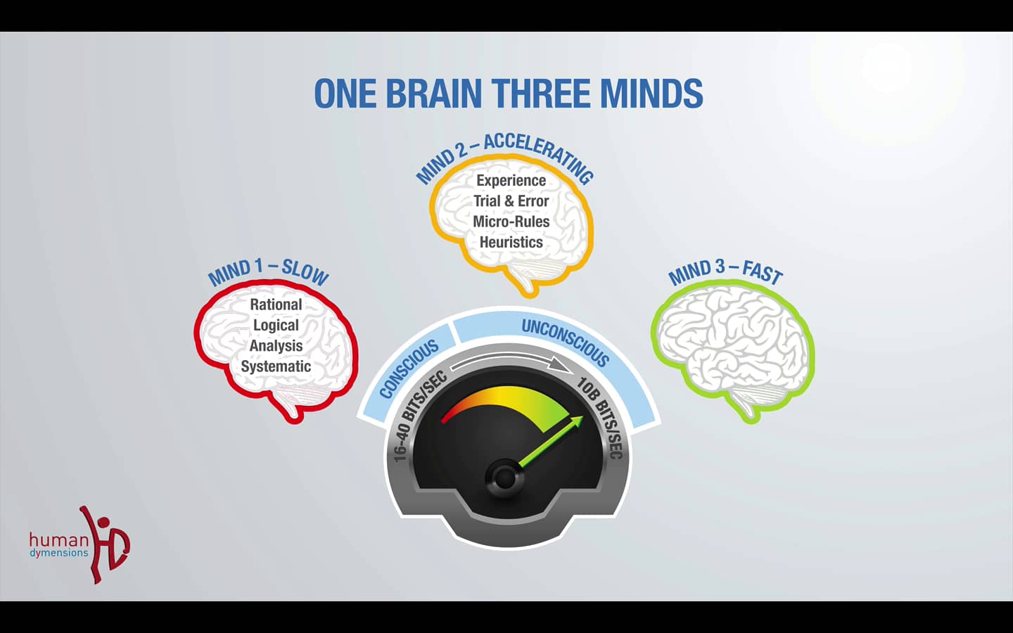One Brain Three Minds on Vimeo