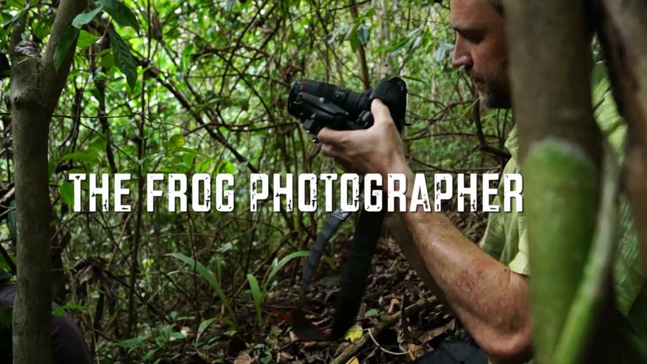 The Frog Photographer - BBC Earth on Vimeo
