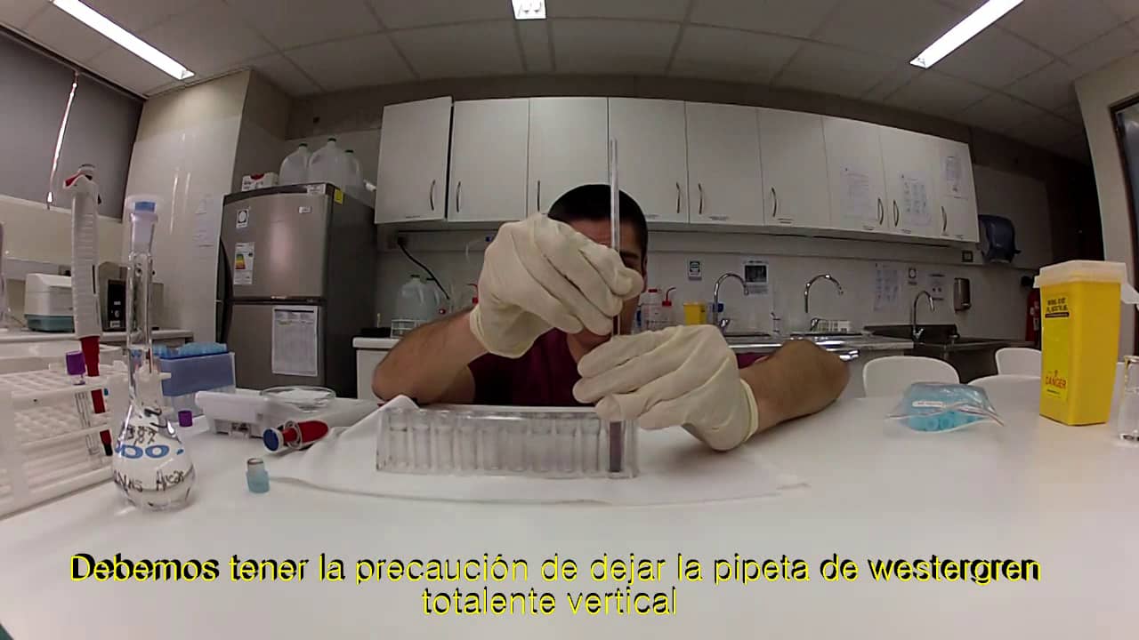 TéCNICA DE VHS, WESTERGREN. on Vimeo