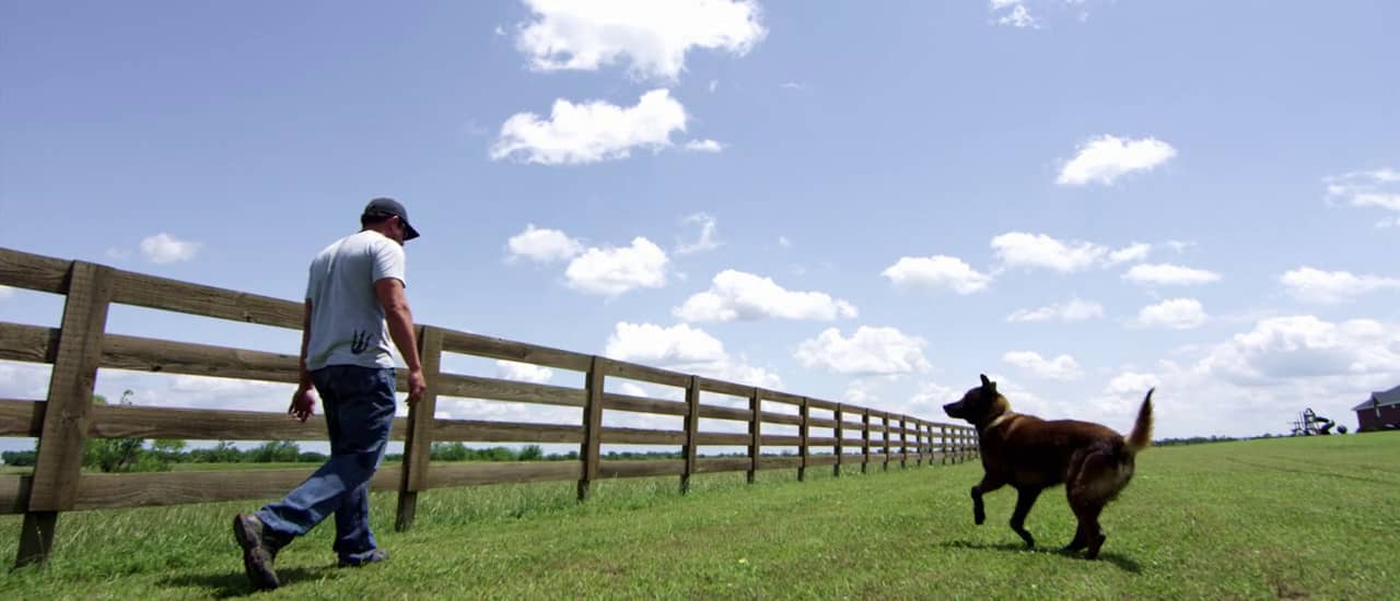 Warrior Dog Foundation on Vimeo