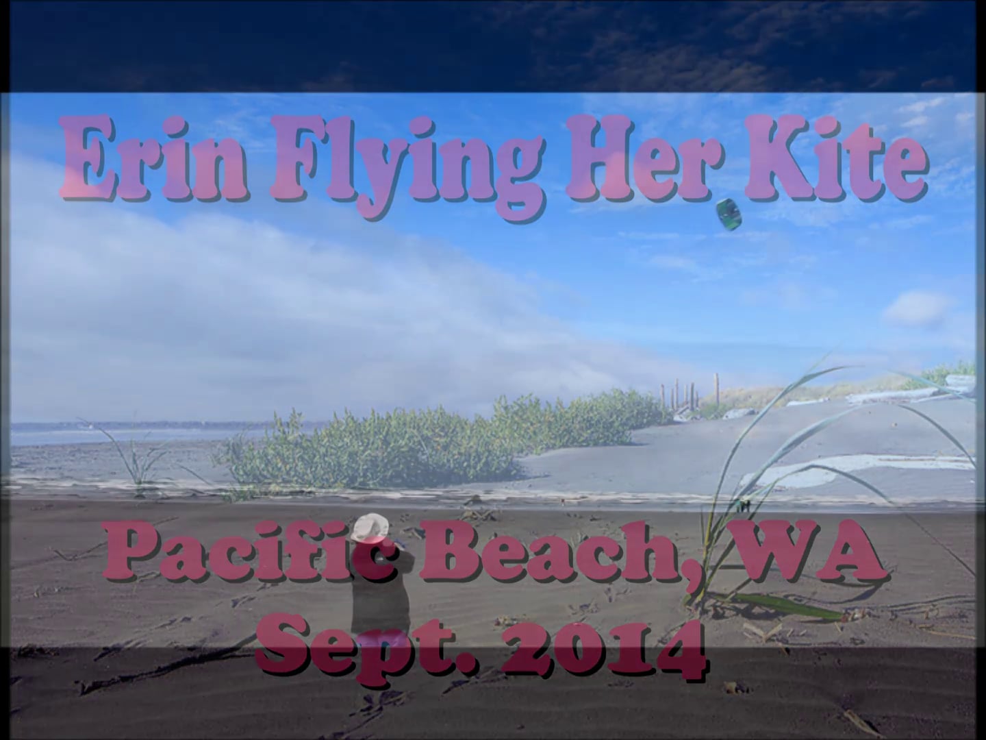 Erin Flies Her Kite at Pacific Beach, WA 2014 on Vimeo