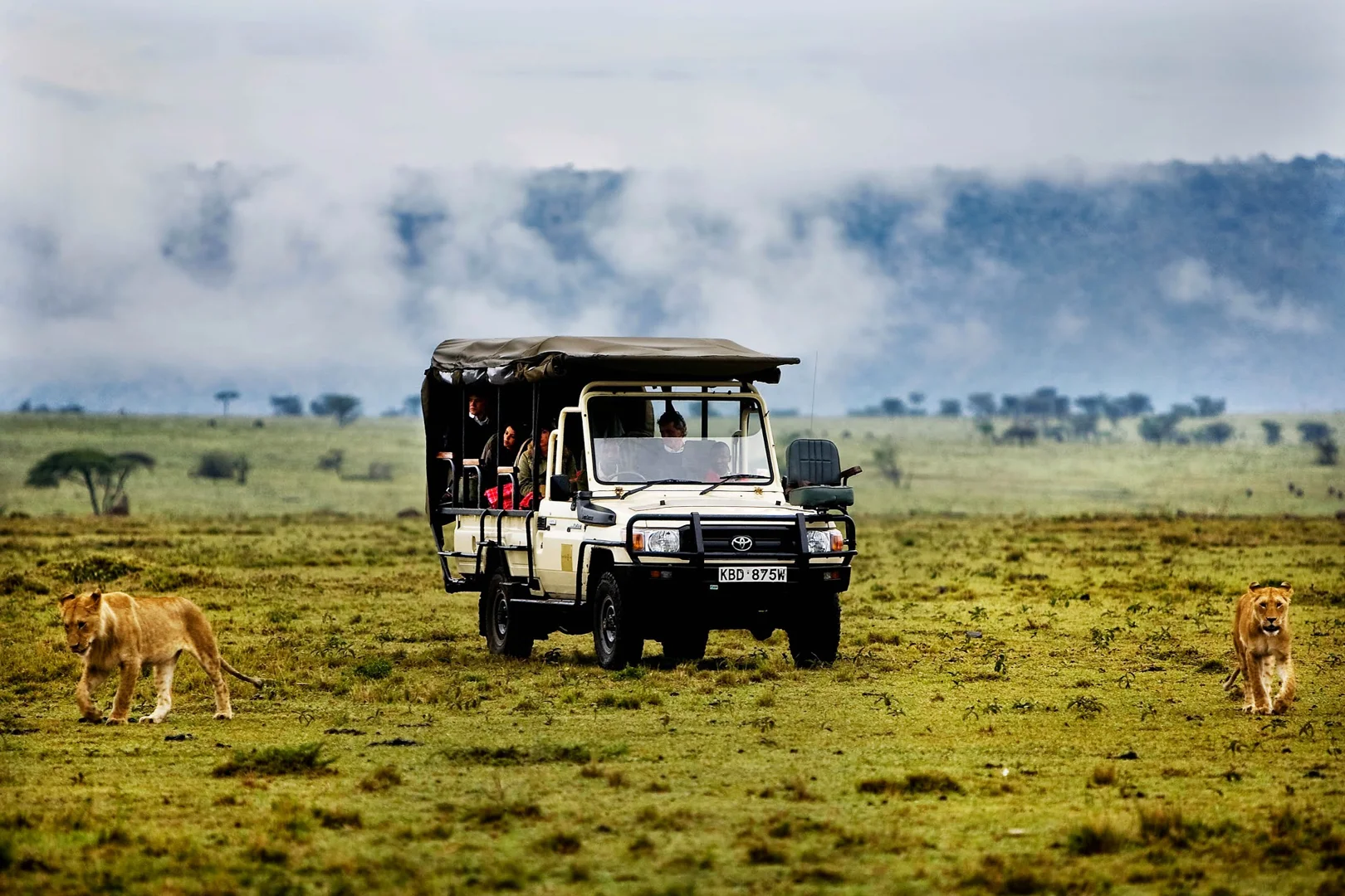 Driving safari on Vimeo