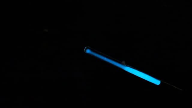 Bioluminescent lamp by Teresa van Dongen glows blue with octopus ...