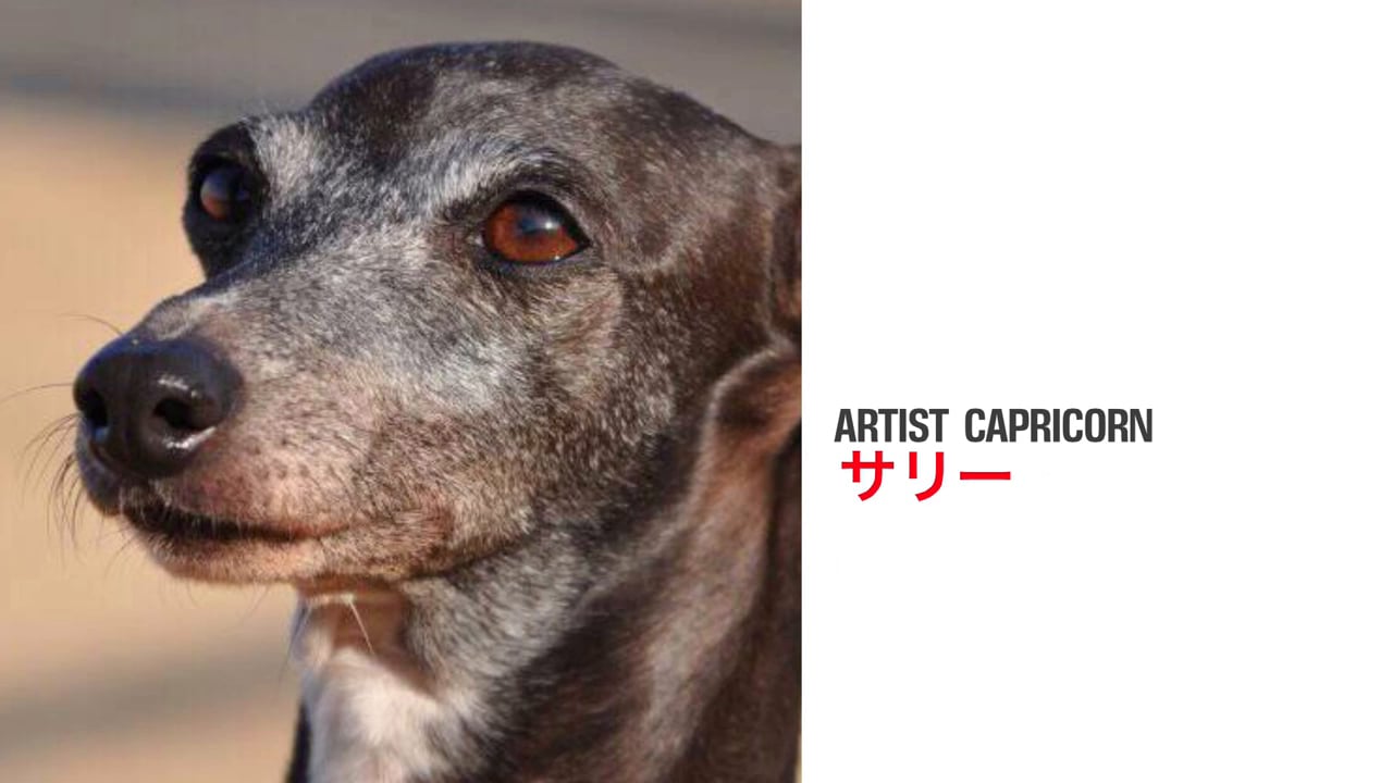 Okapi Film#2 on Vimeo