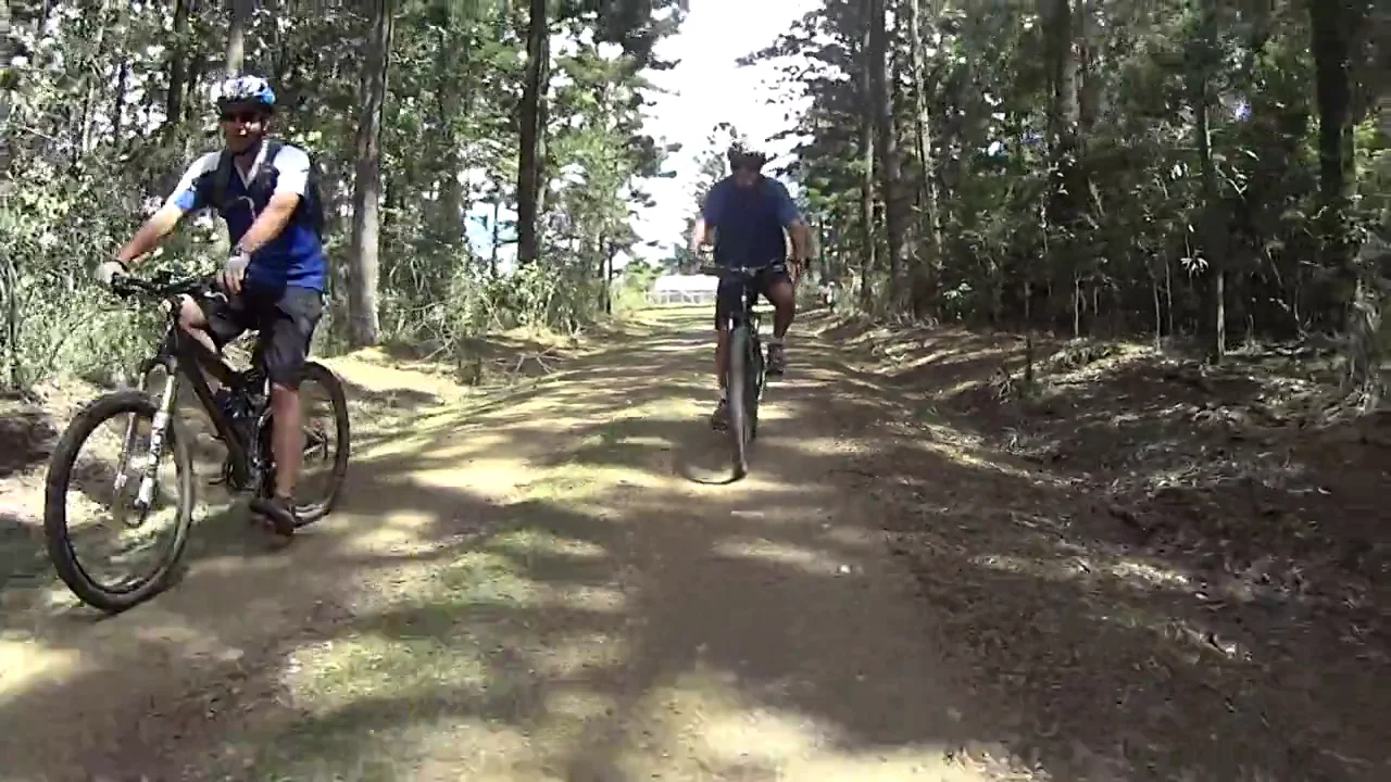 Jimna State Forest - MTB Trail Riding